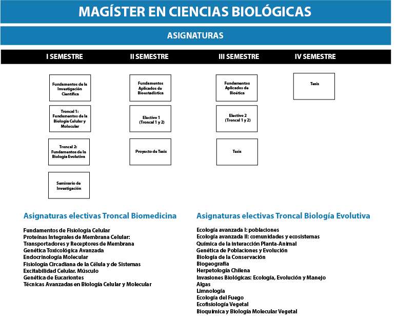 :Dirección de Postgrados: Universidad del Bío-Bío